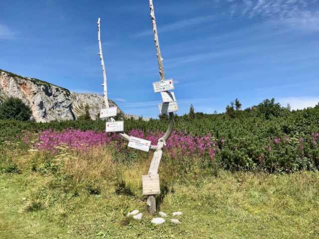 Familienwandung - Ein Ausflug auf die Rax - kinderinfo-blog