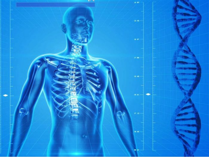 Alles Körper - Tipps für wissensdurstige Kinder - kinderinfo-blog